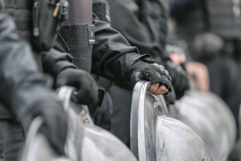 The Causes Of Police Use Of Excessive Force Ronemus And Vilensky